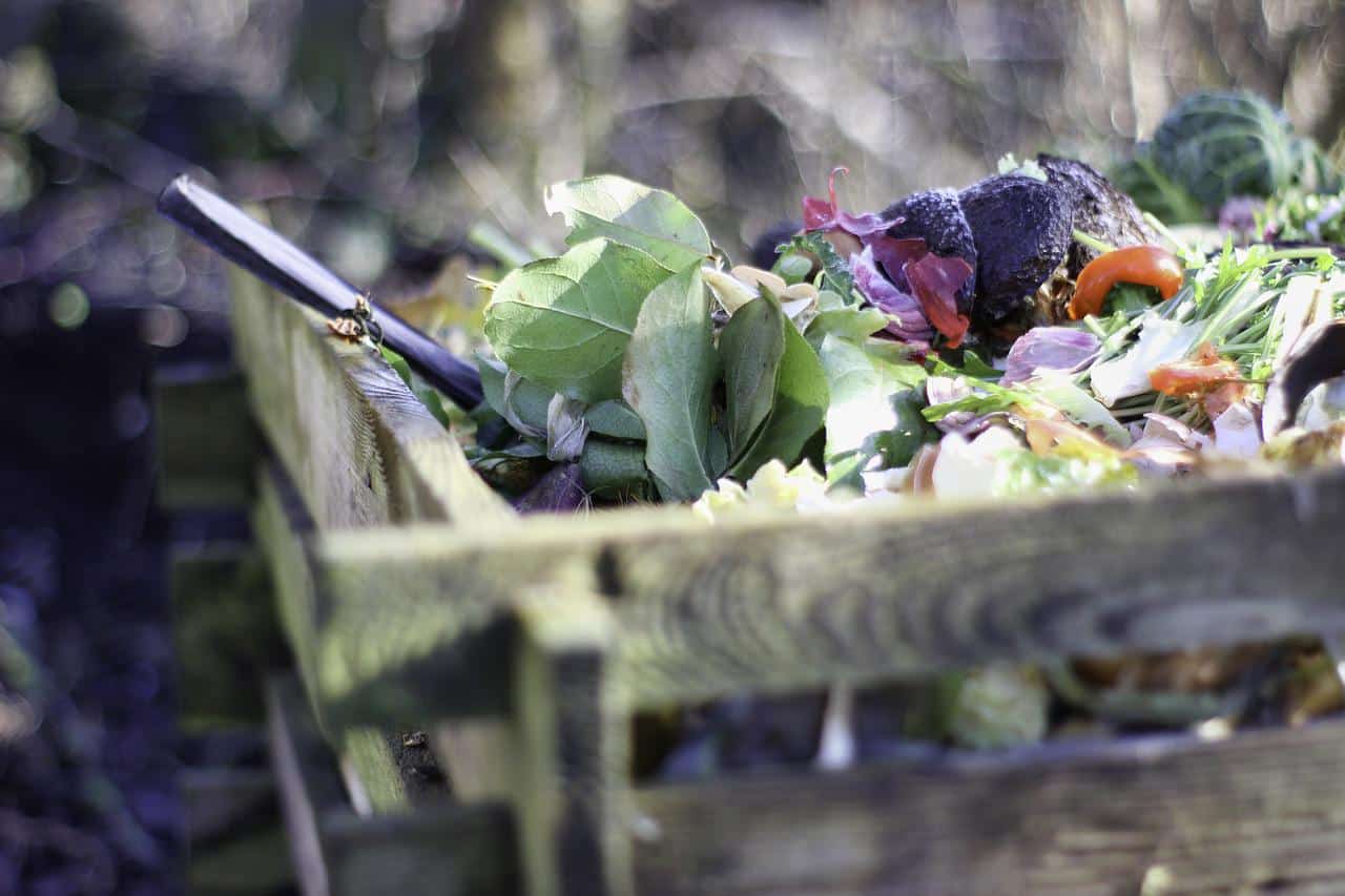 Le compostage ça sert à quoi ? Définition du tri organique