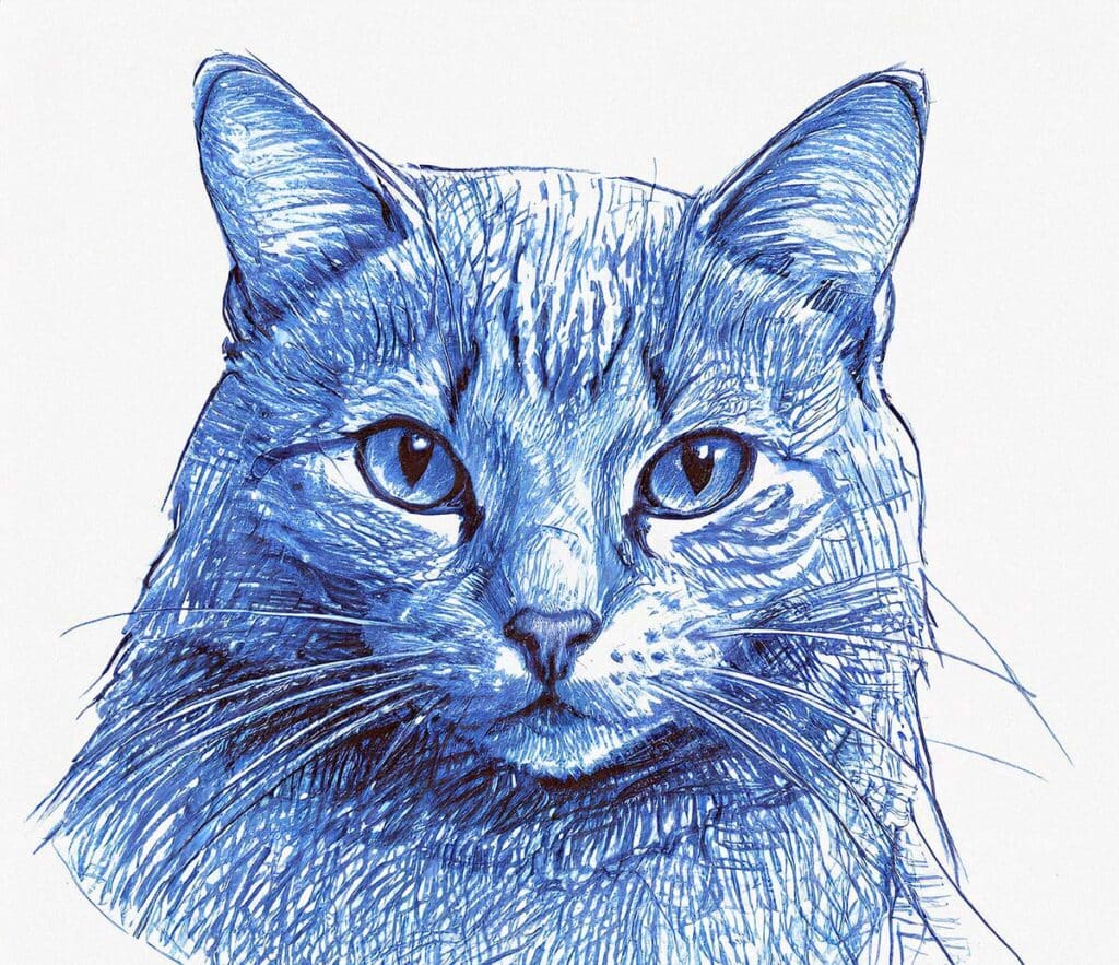 Apprenez à dessiner au bic avec la technique de la hachure