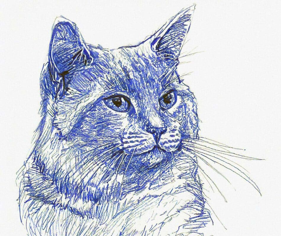 Apprenez à dessiner au bic avec la technique de la hachure